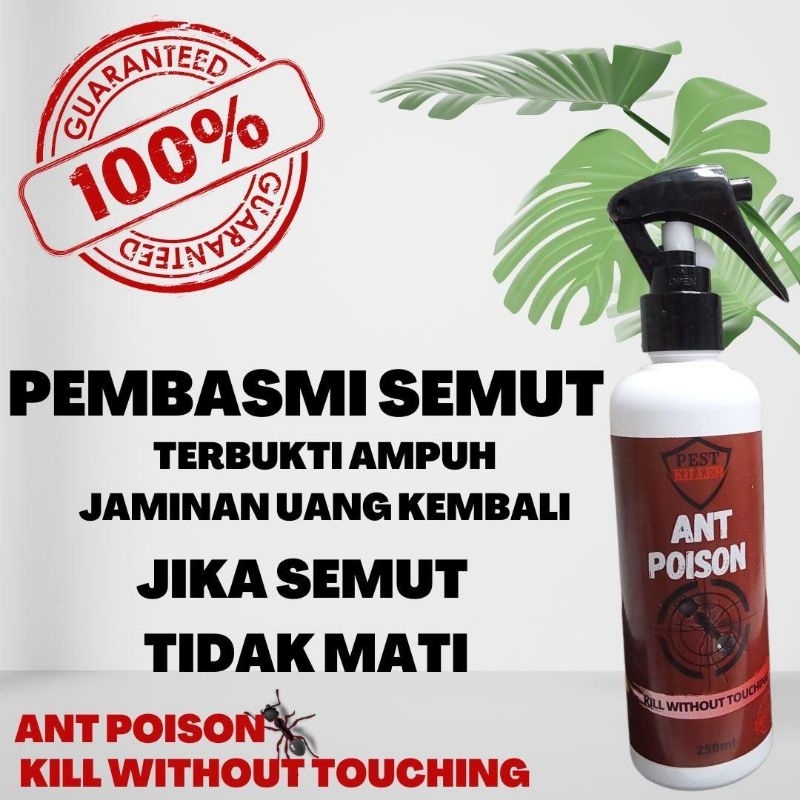Jual PEMBASMI HAMA SEMUT / PEMBASMI HAMA SERANGGA | Shopee Indonesia