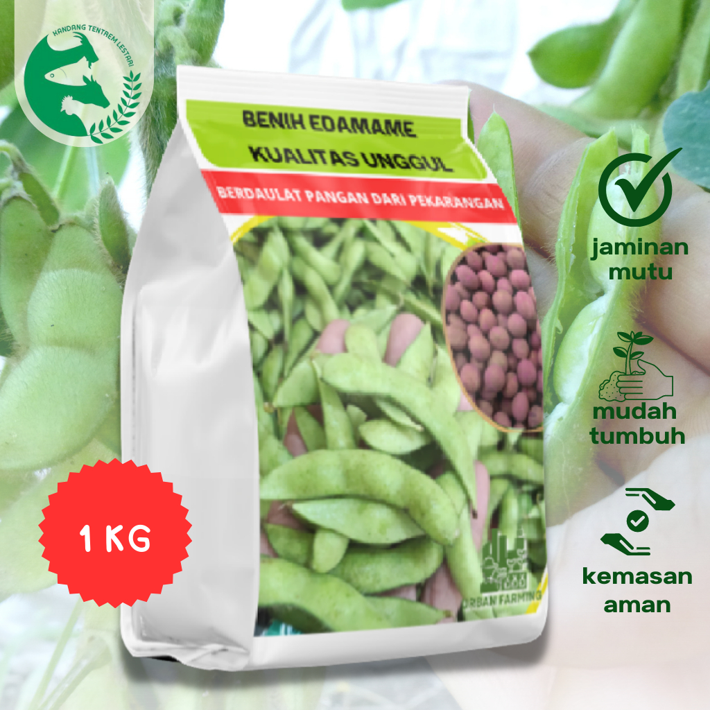 Jual 1 Kg Benih Edamame PREMIUM Kedelai Jepang Jumbo Ryoko | Shopee ...