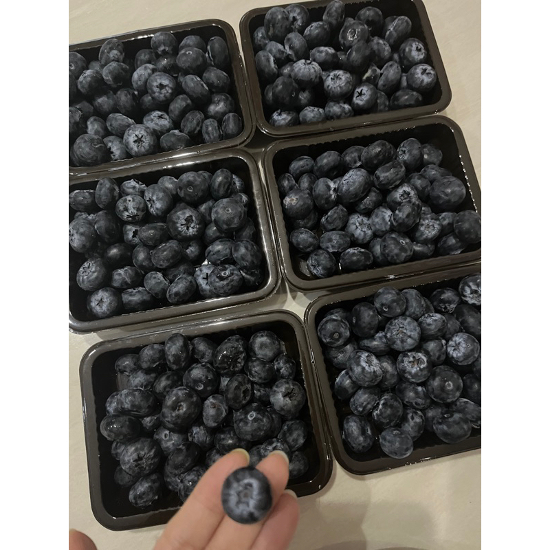 Jual Blueberry 125 gram per pack bukan frozen manis segar enak | Shopee ...