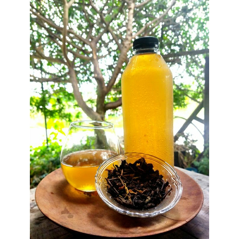 Jual Kombucha Teh Fermentasi Rasa Original 250ml (Bisa Request Tanpa ...