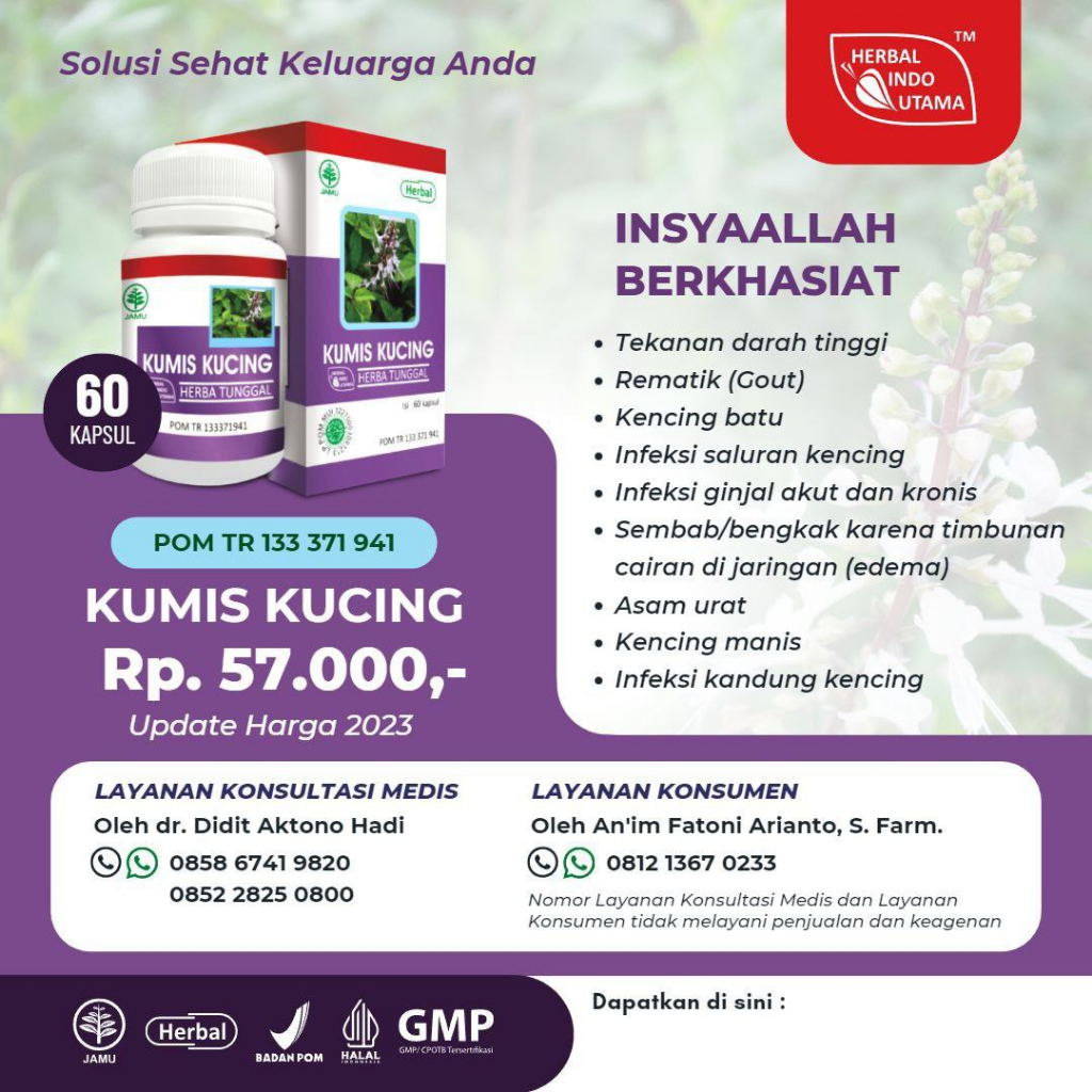 Jual HIU KUMIS KUCING 60kps | Obat Batu Ginjal Herbal Original 100% ...