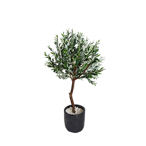 Jual POHON OLIVE/ POHON HIAS/ POHON PALSU/ TANAMAN HIAS/ OLIVE TREE 5FT ...