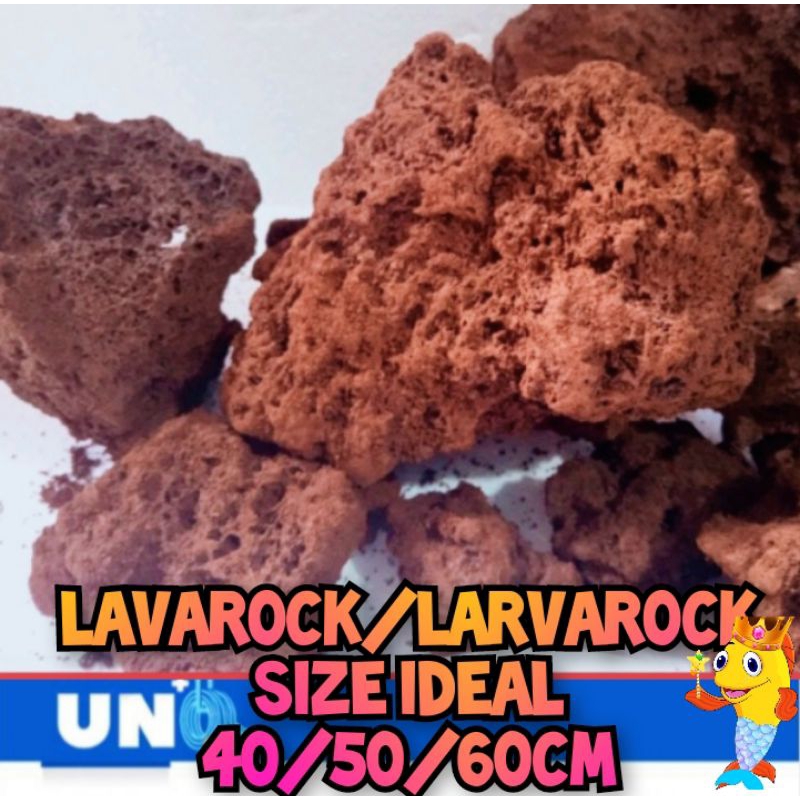 Jual Batu Lava Rock / LARVA ROCK/LavaRock Repack SIZE IDEAL 40/50/60 CM ...