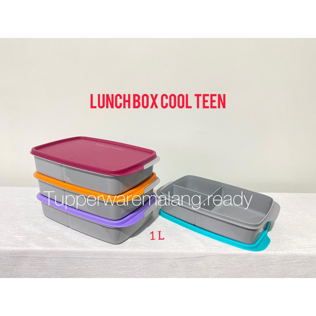 Jual TEPAK MAKAN / KOTAK BEKAL / COOLTEEN COOL TEEN LUNCH BOX ...