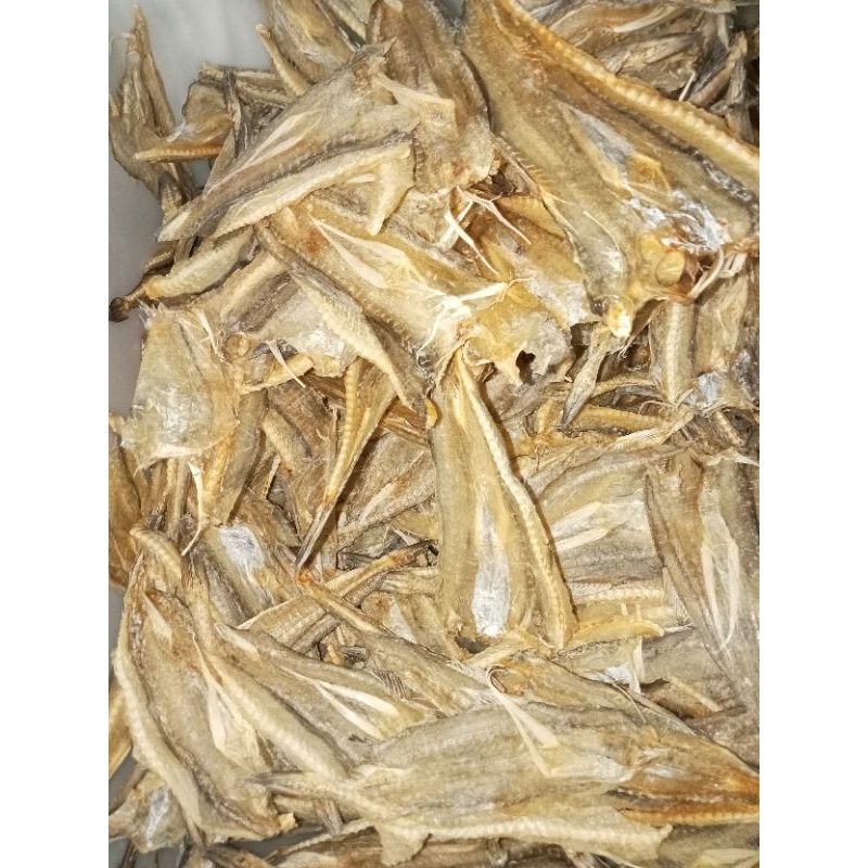 Jual IKAN PEPIJA KHAS KALIMANTAN (TARAKAN) | Shopee Indonesia