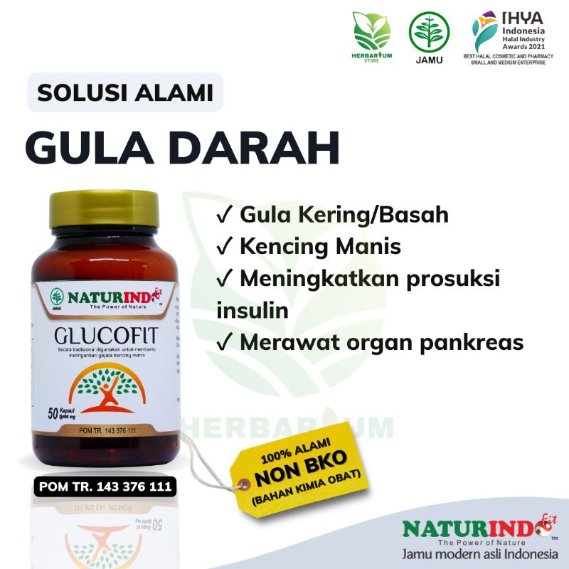Jual GLUCOFIT NATURINDO Obat Herbal Gula Darah Tinggi Kencing Manis ...