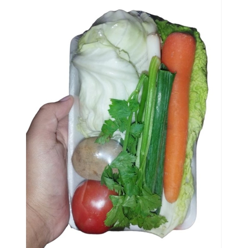 Jual SAYUR SOP LENGKAP/ SAYUR PACK SEGAR | Shopee Indonesia
