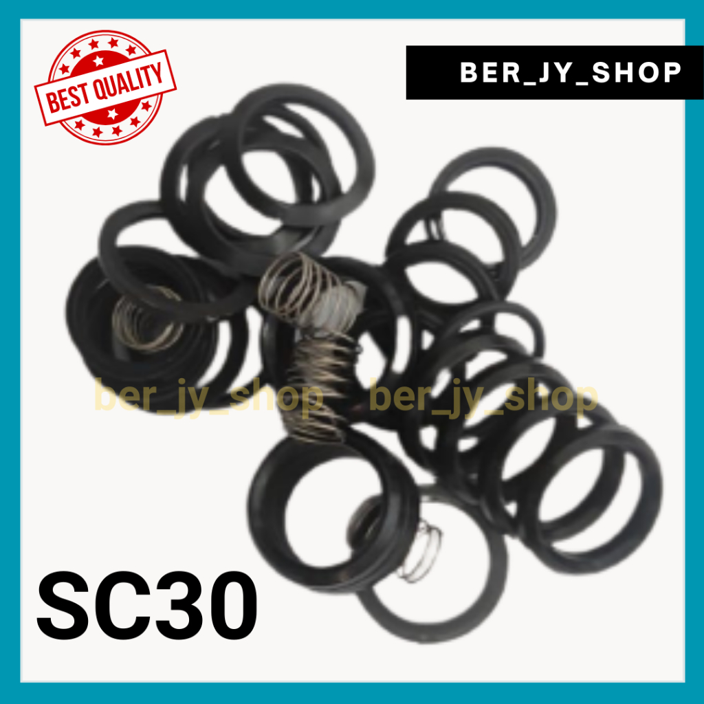 Jual Seal Kit SC30 SCN30 Oil Oli Seal Sanchin Sancin 30 Power Sprayer ...