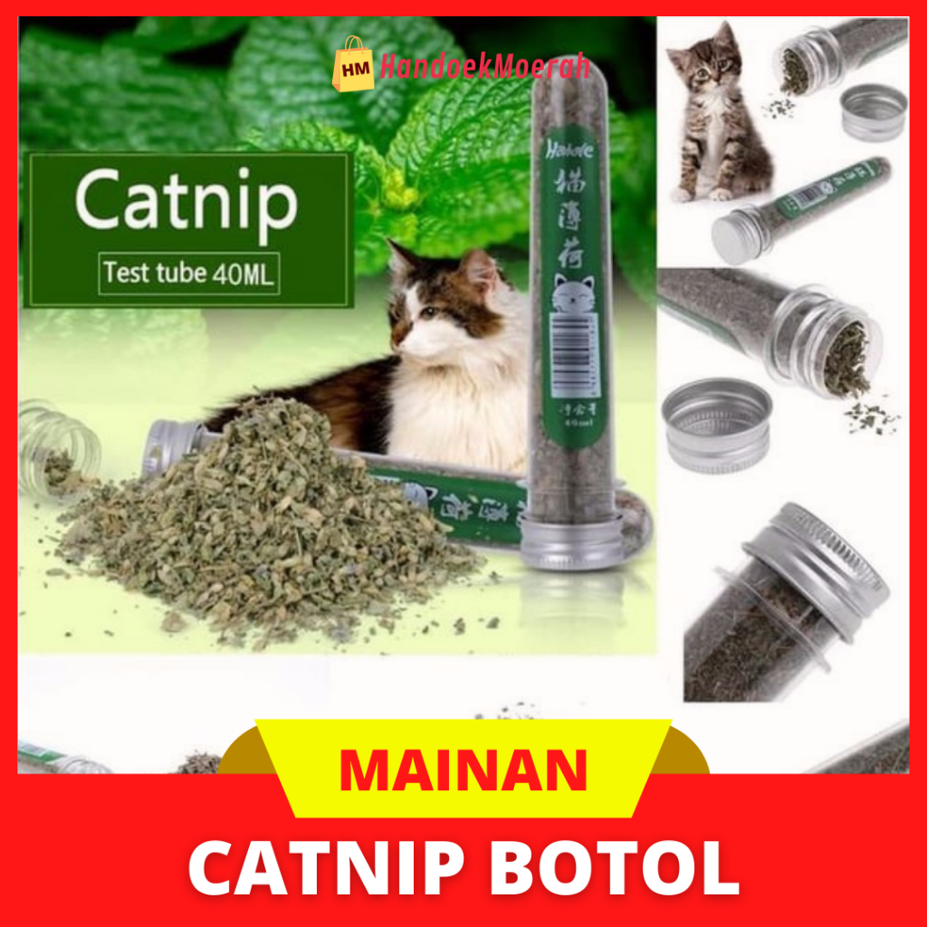 Jual Cat Nip Botol / Daun Catnip Murah - Mainan Kucing | Shopee Indonesia Jual Cat Nip Botol / Daun Catnip Murah - Mainan Kucing | Shopee Indonesia