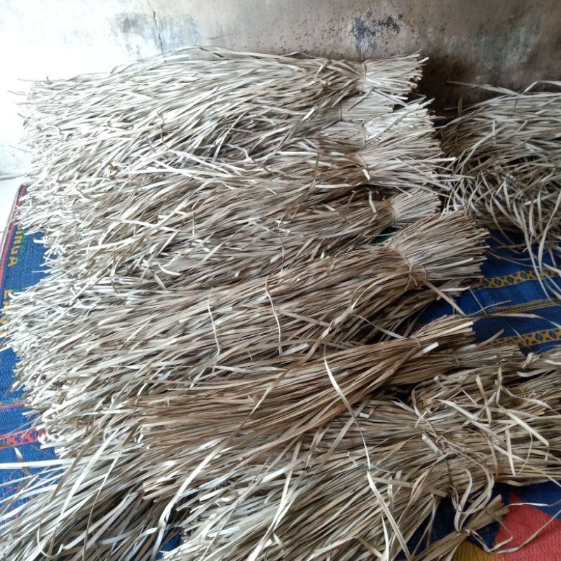 Jual Bahan anyaman putihan pandan panjang 160-180cm | Shopee Indonesia