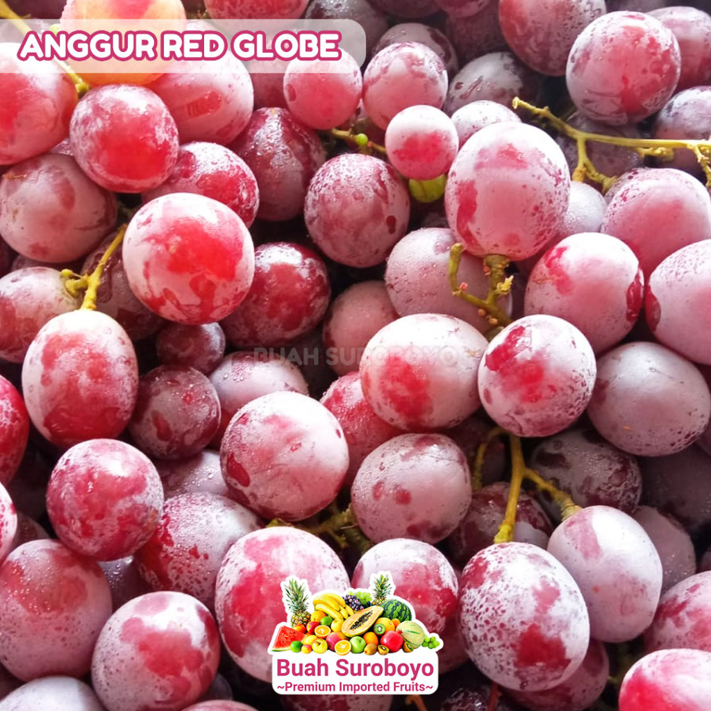 Jual Anggur Merah RRC (Biji) | Shopee Indonesia