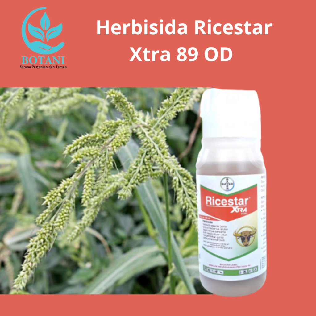 Jual Herbisida Ricestar Xtra 89 OD 100 ml/ Pembasmi Gulma Pada Tanaman ...