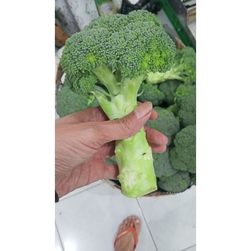 Jual sayur brokoli fresh | Shopee Indonesia