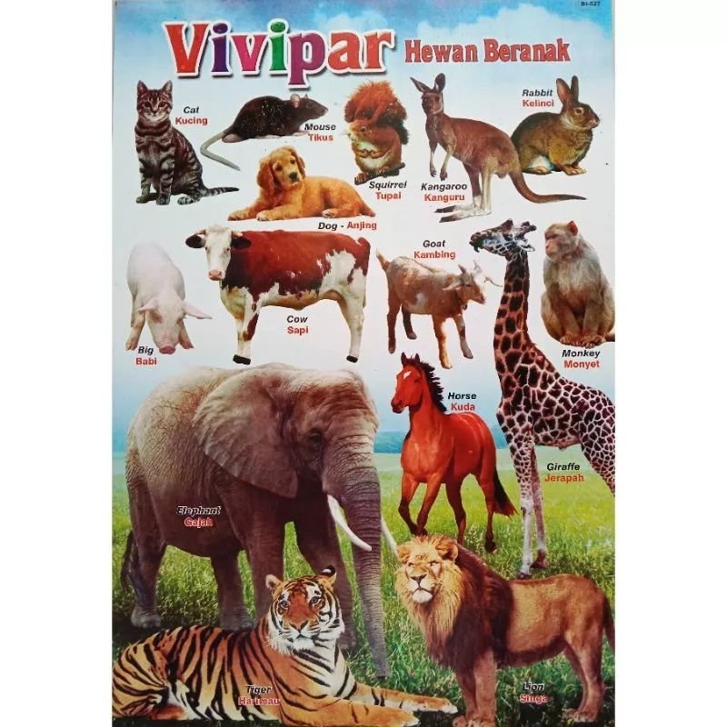 Jual DDS - Poster Seri Lembaran Edukasi Anak Contoh Huruf Kecil Besar ...