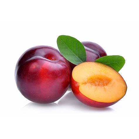 Jual Buah Plum Merah Import / Red Plum | Shopee Indonesia