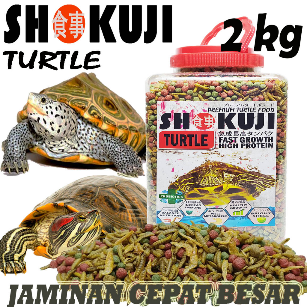 Jual 2KG SHOKUJI TURTLE FOOD PAKAN MAKANAN KURA AIR RES BRAZIL DAMER ...