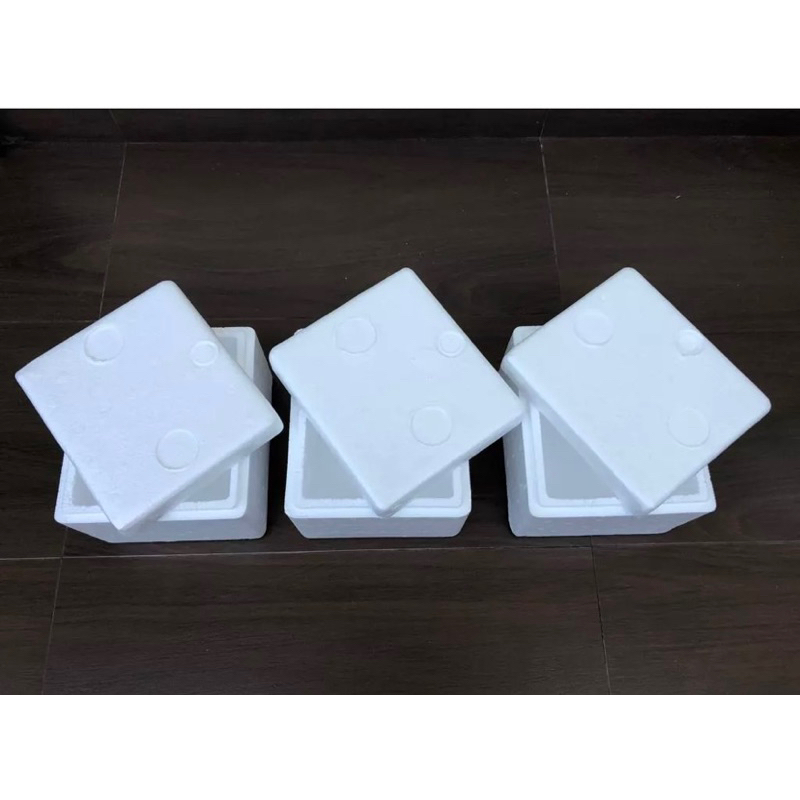 Jual Styrofoam Packing/ Box Frozen Berries ( HANYA UNTUK PEMBELIAN ...