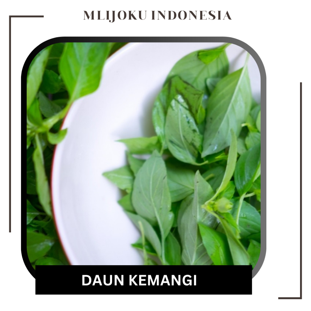 Jual Daun Kemangi - Sayur Lalap Kemangi per pack | Shopee Indonesia