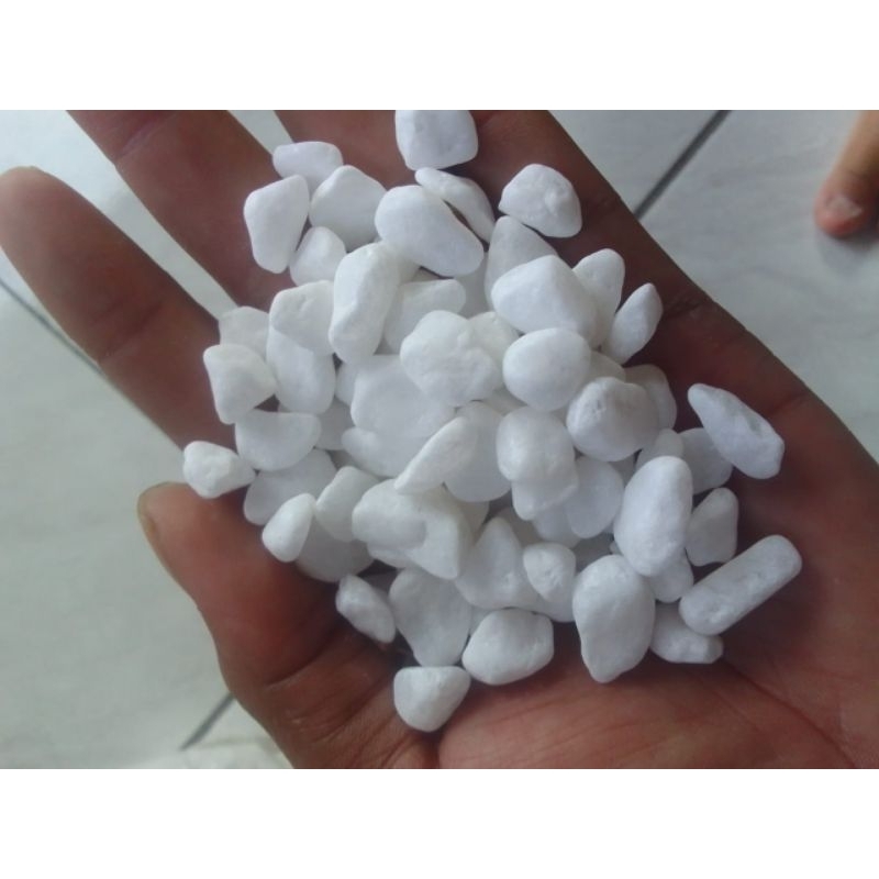 Jual Batu hias putih itali 1kg/Batu putih itali/Batu krikil putih/Batu ...