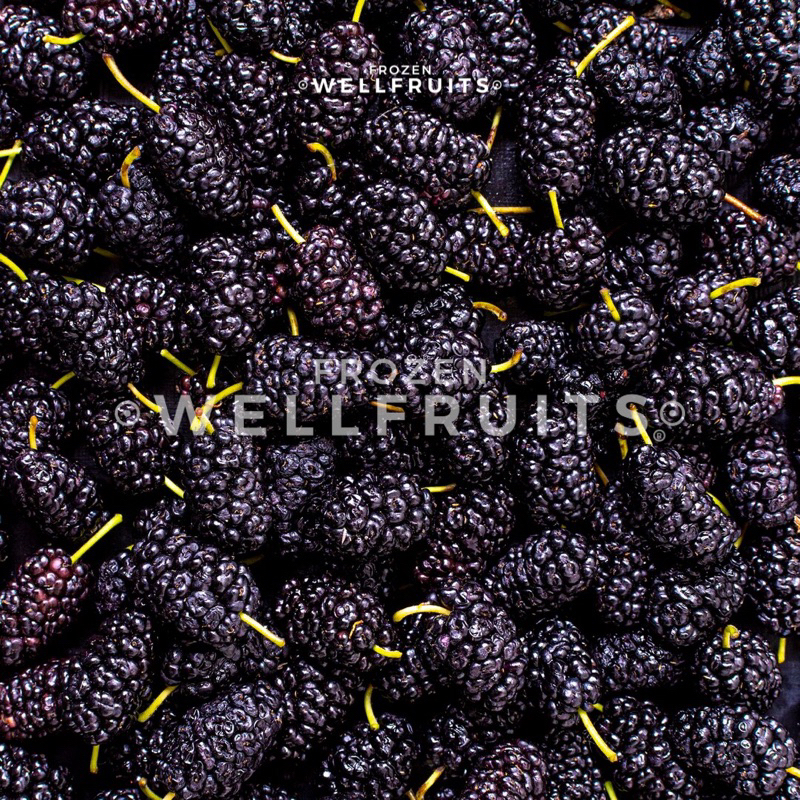 Jual IQF Mulberry Frozen 1000gr | Shopee Indonesia