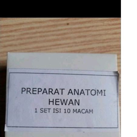 Jual Preparat Anatomi Hewan (isi 10 macam) | Shopee Indonesia