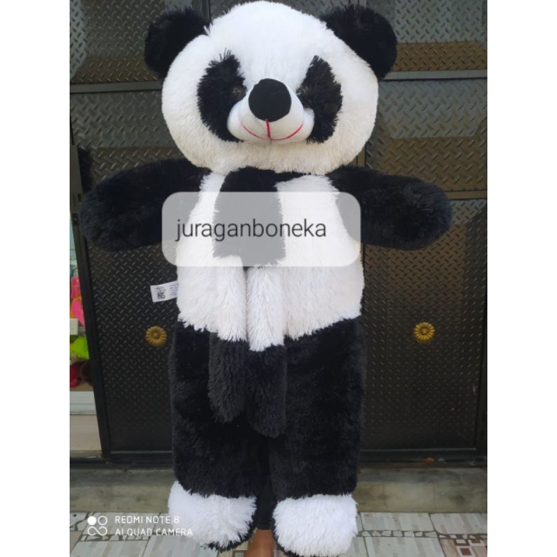 Jual Panda jumbo 1.m//boneka jumbo syal panda jumbo | Shopee Indonesia