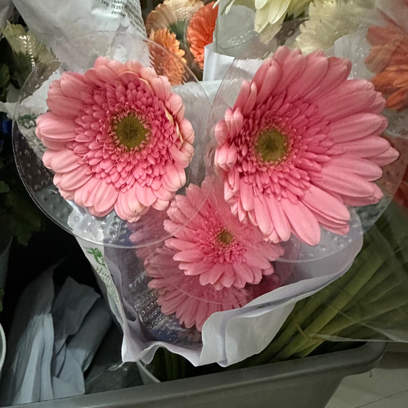 Jual [MOGNOLY] Custom Bucket Bunga Asli Fresh Flower Bouquet | Shopee ...