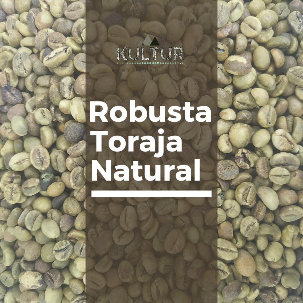 Jual GREEN BEAN ROBUSTA TORAJA NATURAL BIJI KOPI MENTAH NETTO 500 GR ...