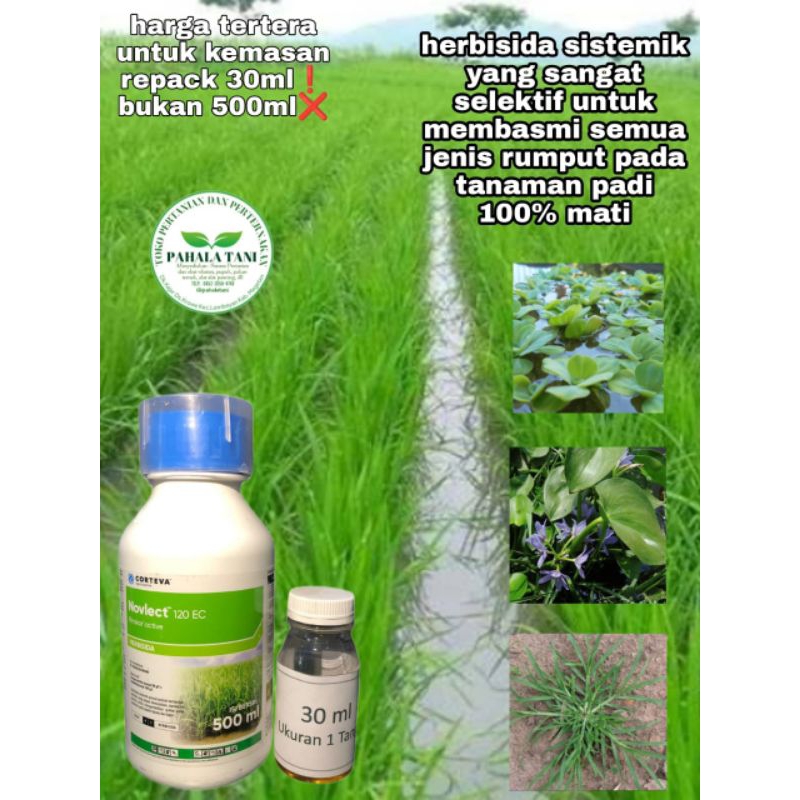 Jual novlect/novlek/racun rumput padi/racun rumput daun lebar/racun ...