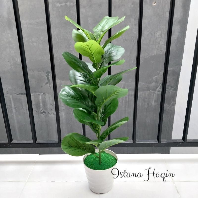 Jual Set Pohon Ketapang Artificial 70cm 80cm PLUS POT | Shopee Indonesia