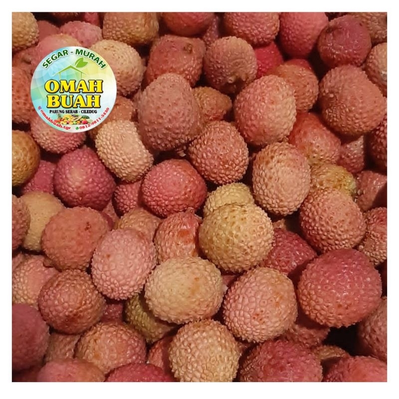 Jual Buah Leci Madu Import Manis | Shopee Indonesia