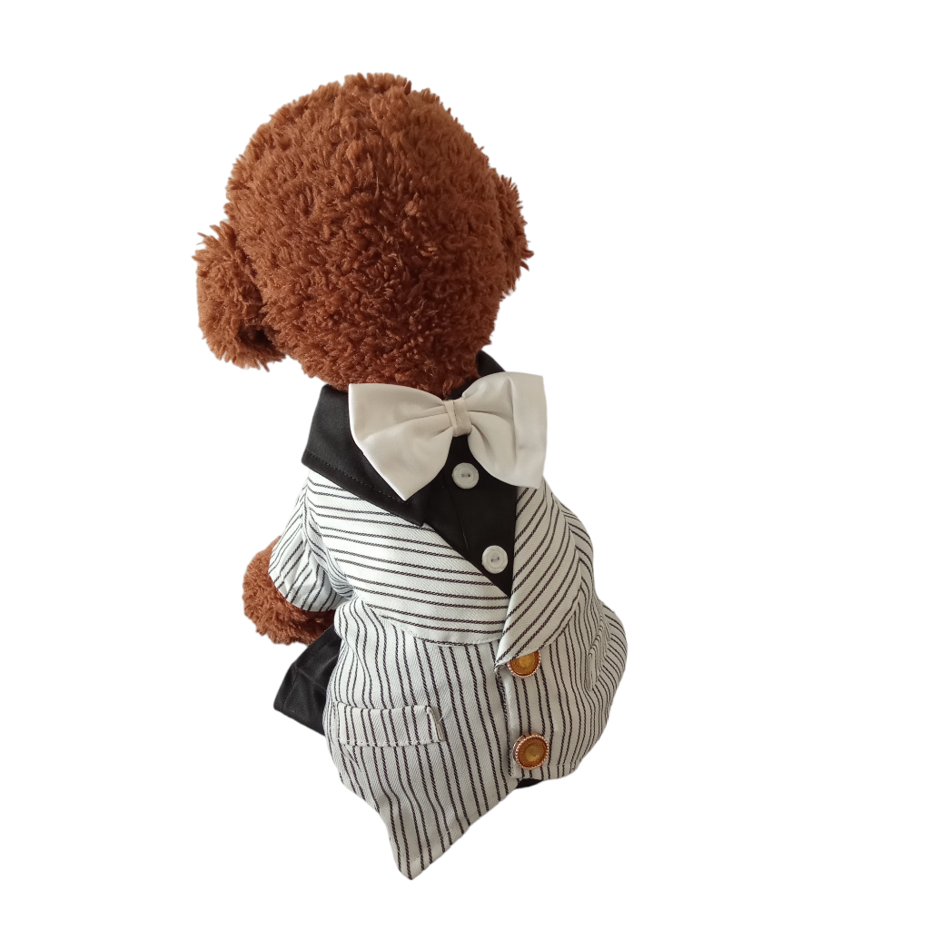 Jual Kostum Setelan Anjing/Kostum setelan Kucing/baju undangan/kostum undangan kucing/ dog ...