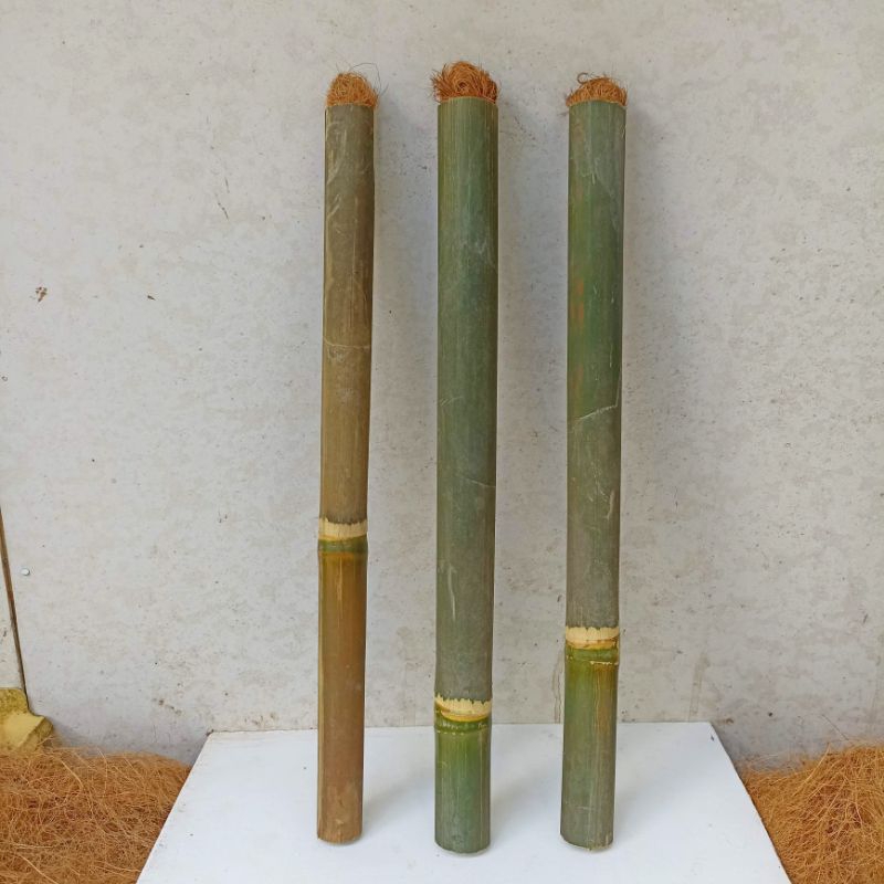 Jual Obor Bambu Panjang 70cm Alat Penerangan Tradisional | Shopee Indonesia