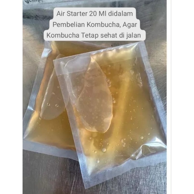 Jual (C1) Air Starter Kombucha 20 Ml / Air Kombucha 250ML | Shopee ...