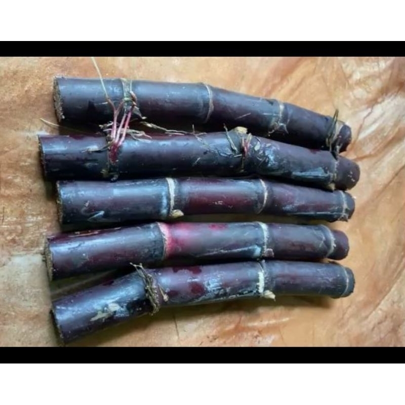 Jual Batang tebu ireng tebu hitam per 5 batang | Shopee Indonesia