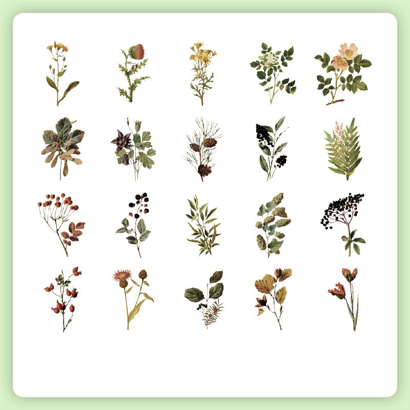 Jual [LBS] 40pcs Sticker Set Retro Nature Vintage Set Stiker Bunga Kupu ...