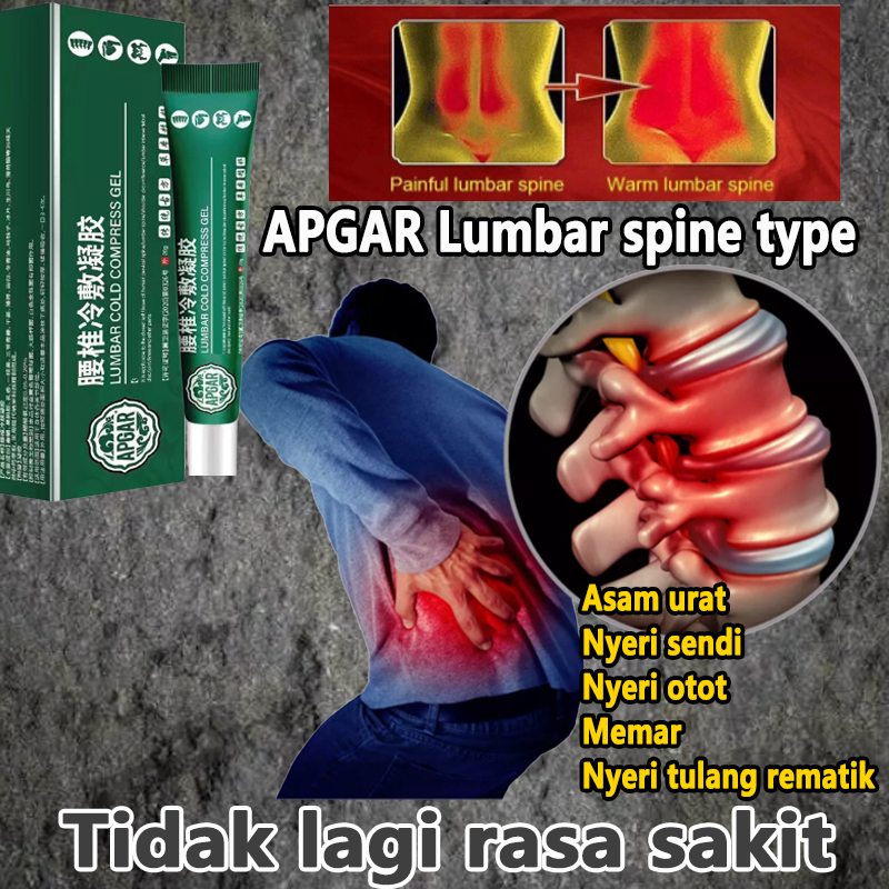 Jual APGAR Lumbar cream Joint Bone Therapy Cream Lutut Gel Pereda ...