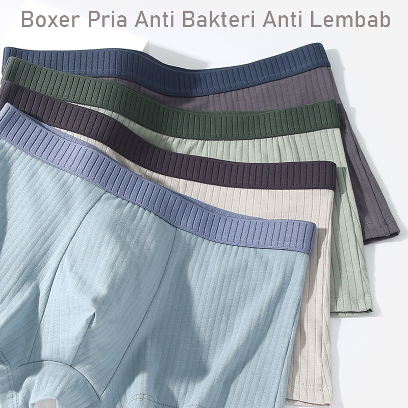 Jual DM Celana Dalam Boxer CD Pria Adem Antibakteri Kesehatan ...