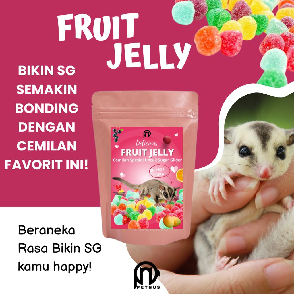 Jual JELLY FRUITS SNACK CEMILAN BUAH KERING SUGAR GLIDER / HAMSTER ...
