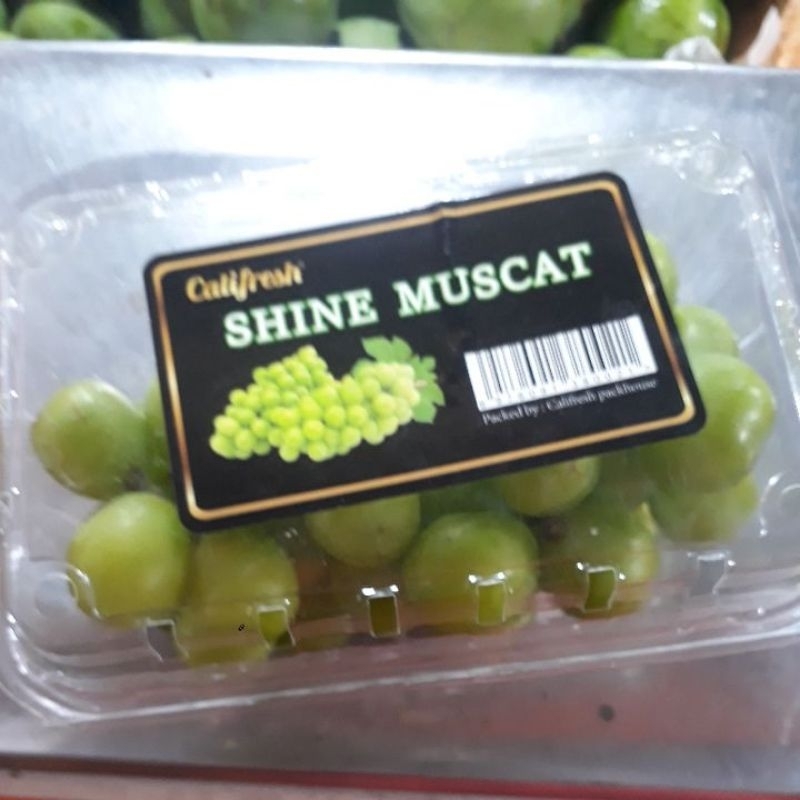 Jual Anggur Shine Muscat Seedless | Shopee Indonesia
