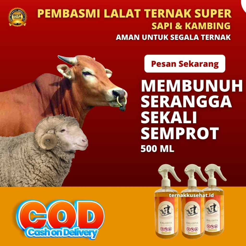 Jual Obat Semprot lalat Pitak Untuk Ternak Sapi Kambing Aman 500 ML dan ...