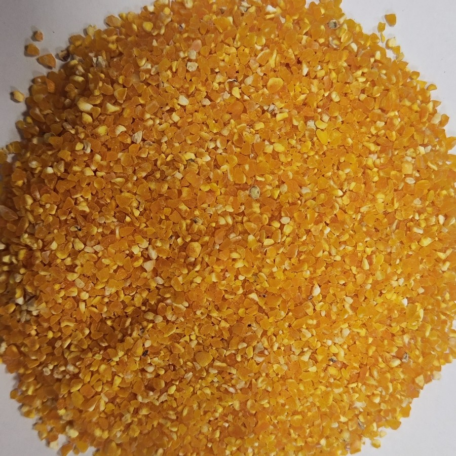Jual Jagung pecah giling menir halus pakan ayam burung dara merpati ...