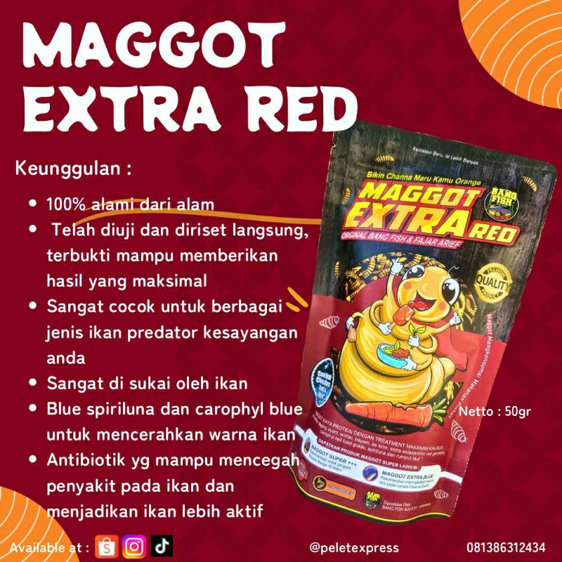 Jual MAGGOT SUPER BANGFISH AQUATIC X FAJAR ARIEF, TREATMENT WARNA BAGI ...