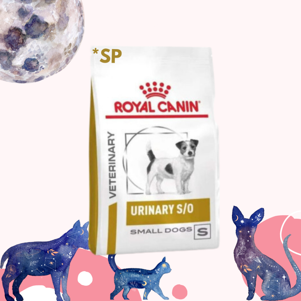 Jual Royal Canin Urinary S/O SO Small Dog (SP 1) | Shopee Indonesia