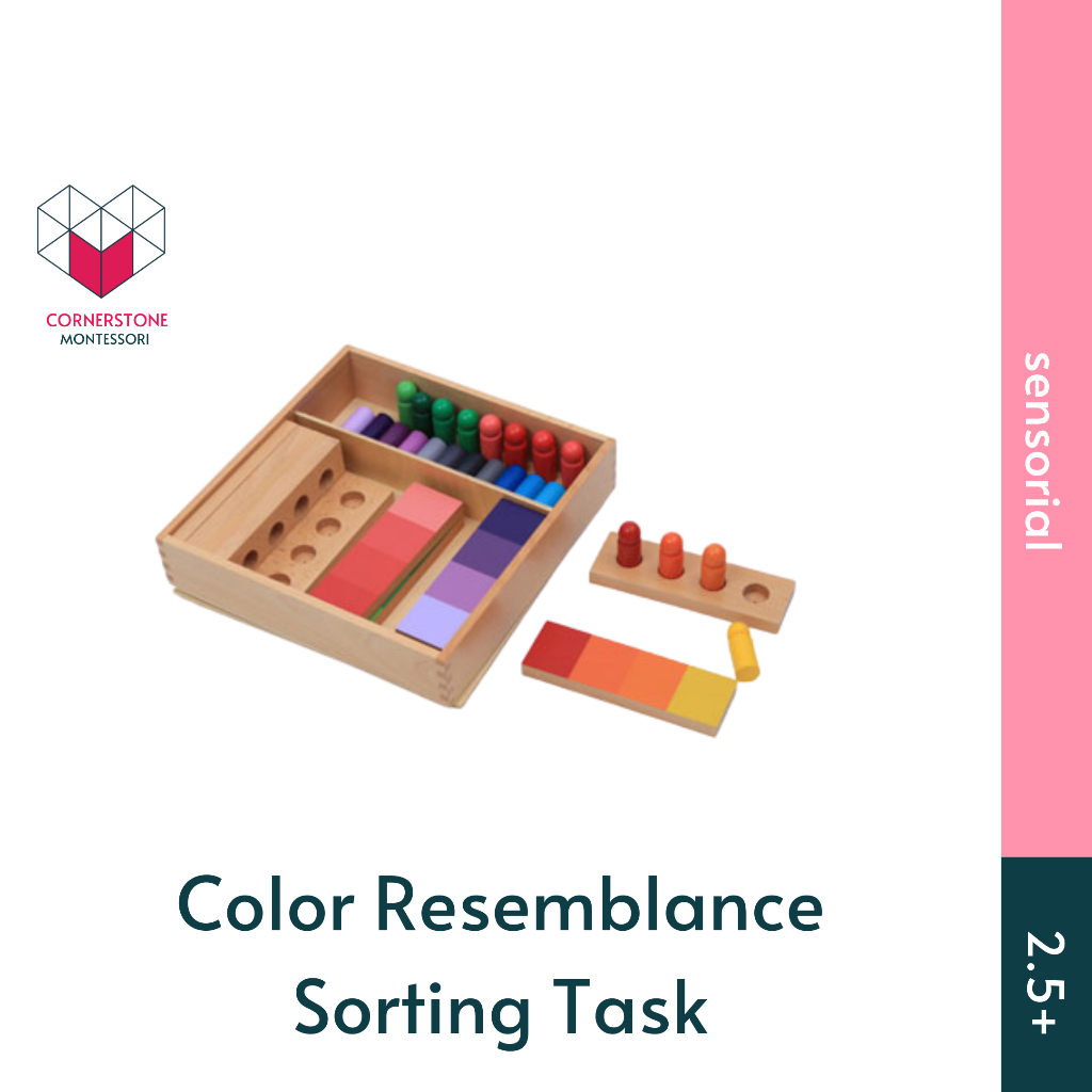 Jual Cornerstone Montessori Color Sorting Task - Montessori Sensorial ...