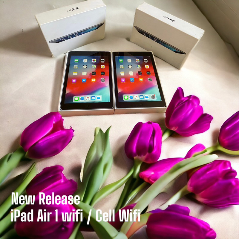 Jual ipad Air 1/Air2 / Gen5/ Gen6 / Gen7 byp4 Cell / wifi premium ...