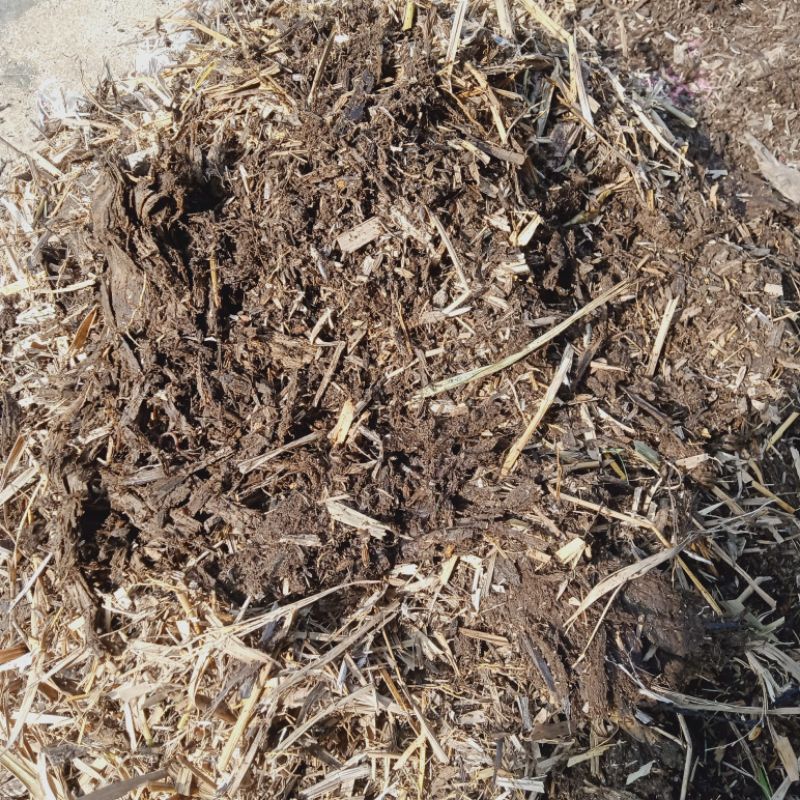 Jual Jerami padi busuk media tanaman dan pupuk organik 1kg | Shopee ...