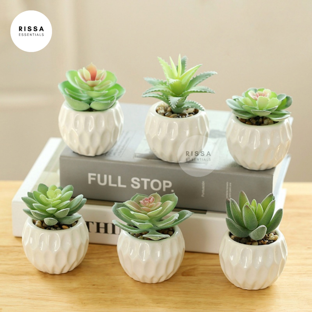 Jual [RISSA] Mini Kaktus Sintetis Cactus Palsu Kecil Tanaman Pot Palsu ...