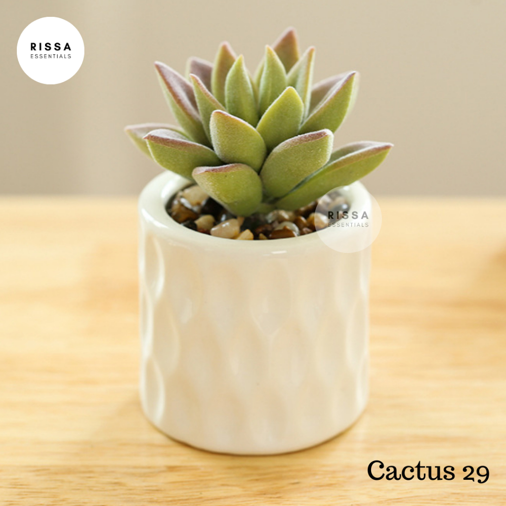 Jual [RISSA] Mini Kaktus Sintetis Cactus Palsu Kecil Tanaman Pot Palsu ...