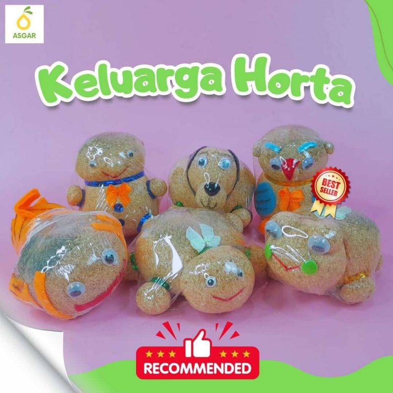 Jual Boneka Horta Mini Bisa Tumbuh Rumput Karakter Anjing, Ikan, Kura ...